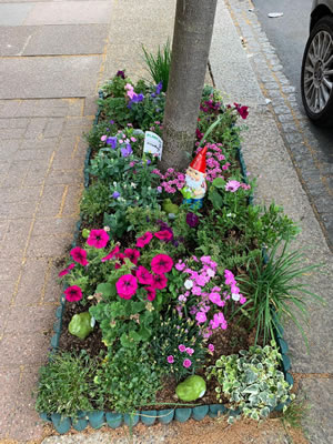 2019 Southfields Grid Front Garden Awards